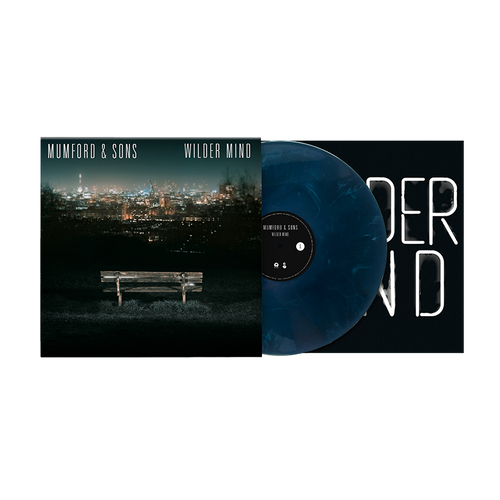 Vinyl - Mumford & Sons